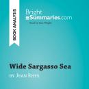 Listen Free to Wide Sargasso Sea by Jean Rhys (Book Analysis): Detailed ...