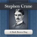 Listen Free to Dark Brown Dog: A Stephen Crane Story by Stephen Crane ...