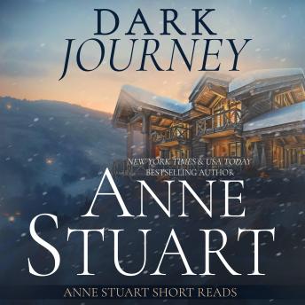 Dark Journey by Anne Stuart