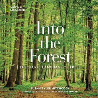 Into the Forest: The Secret Language of Trees by Susan Tyler Hitchcock