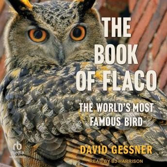 Listen Free to Book of Flaco: The World’s Most Famous Bird by David ...