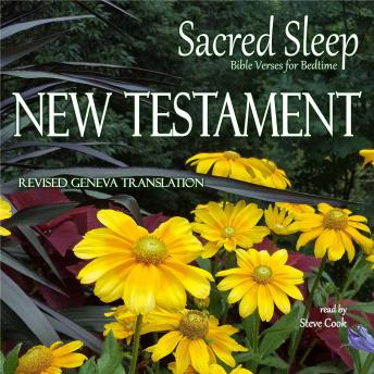 Sacred Sleep: New Testament by Various