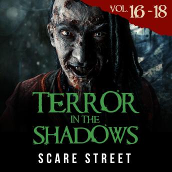 Short Horror Stories: Terror in the Shadows Volumes 16 - 18: Scary ...