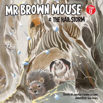 Mr Brown Mouse And The Hail Storm: Plip, plop... plop, plip... the ...