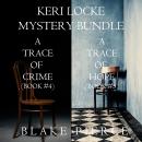 Kate Wise Mystery Bundle: If She Hid (#4) and If She Fled (#5) by Blake ...