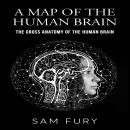 Map of the Human Brain: The Gross Anatomy of the Human Brain by Sam Fury